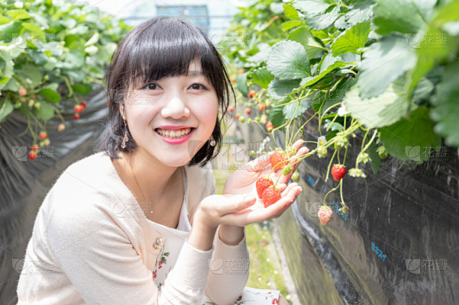 草莓,图像,美,留白,水平画幅,美人,蛋糕,夏天,户外,采果器