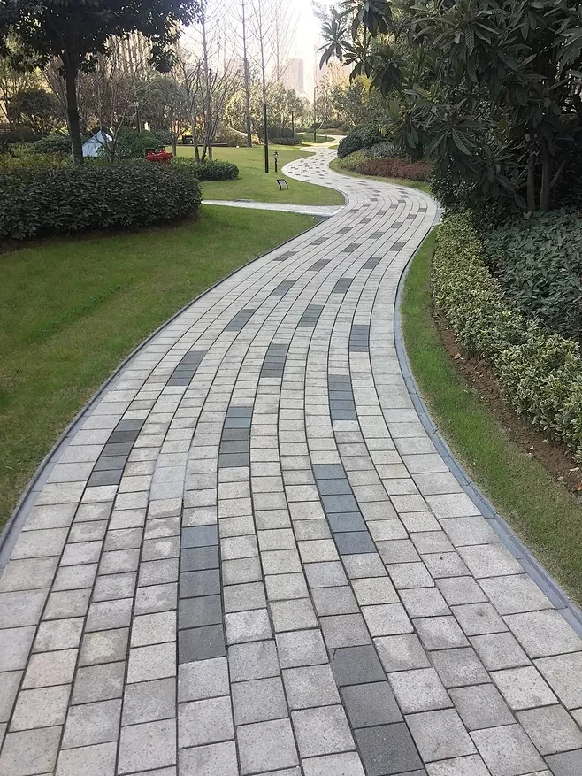 webp.webp (13)-花瓣网