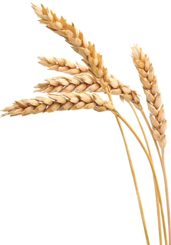 花瓣灵感详情页-花瓣网