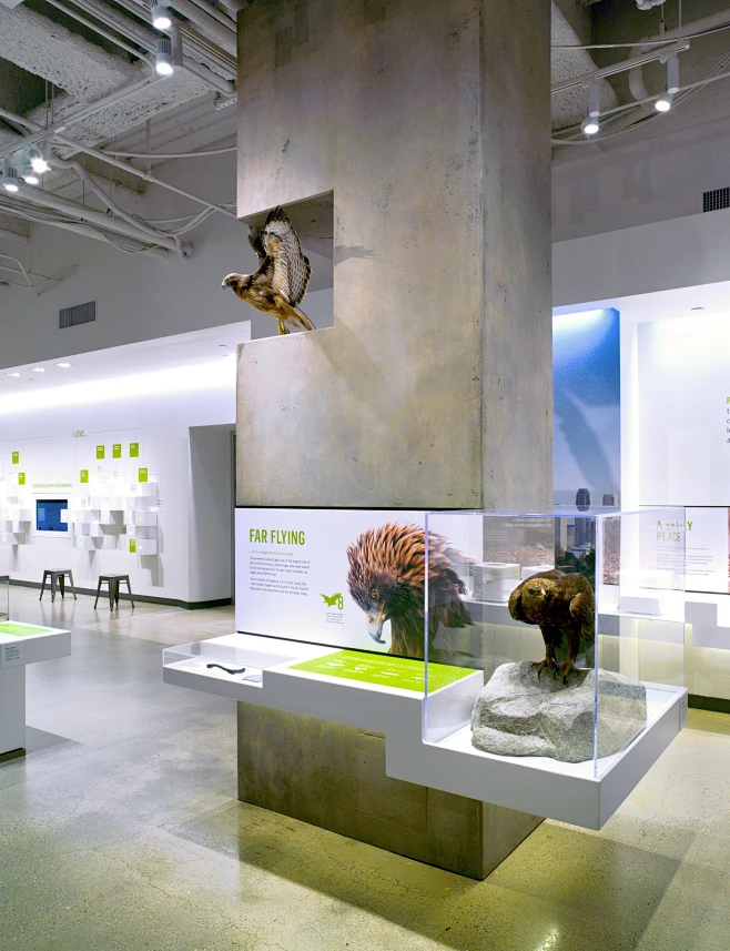 Natural History Museum of Los Angeles County : Working with the team at ...