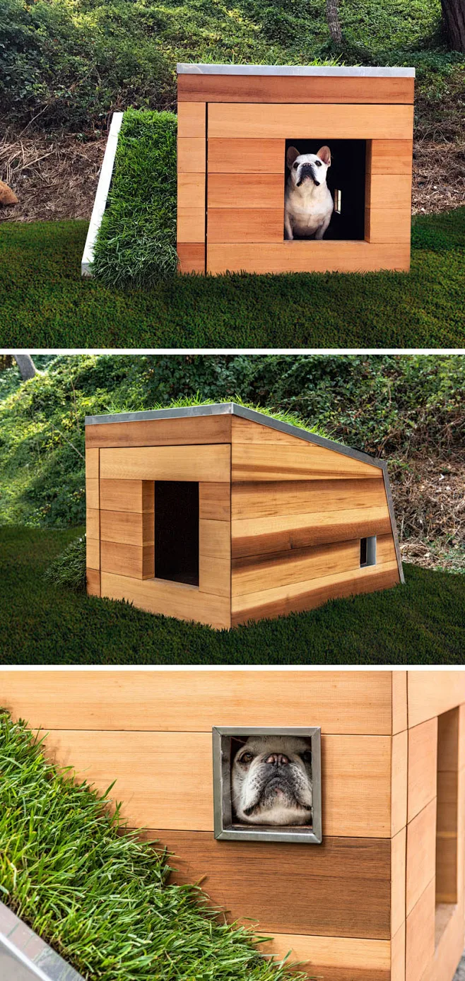 Studio Schicketanz have designed a modern Dog Dream House, that ...