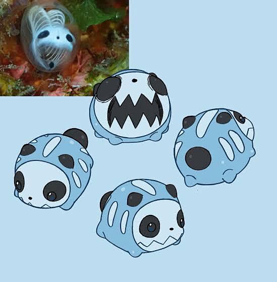 骷髅熊猫海鞘(Skeleton Panda Sea Squirts) 这是一种真实的海洋生物，最早被发现于冲绳久米岛附近的海域，当地人帮它暂时 ...