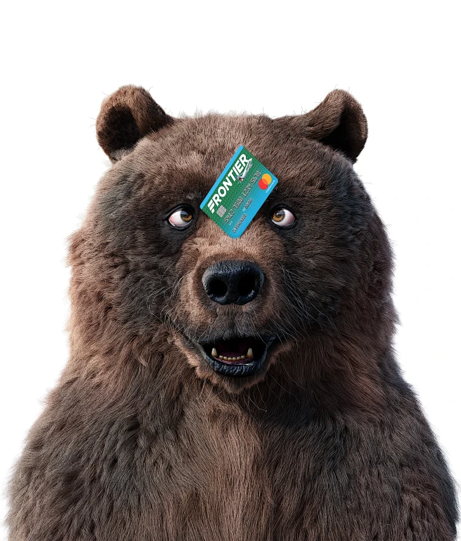 Frontier Airlines Bear : Full CGI Bear character illustration for ...