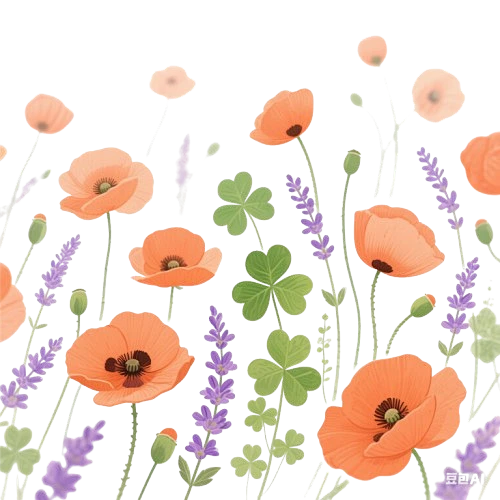 绘制插画__9_-removebg-preview-花瓣网