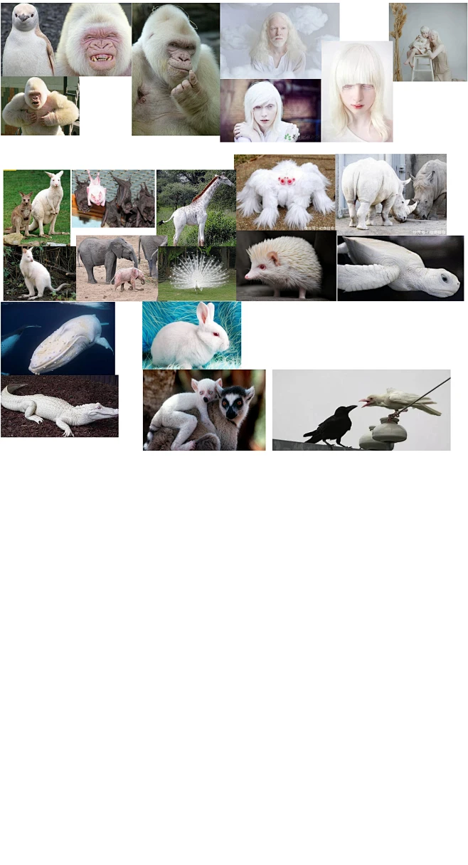 wfwef wef -花瓣网