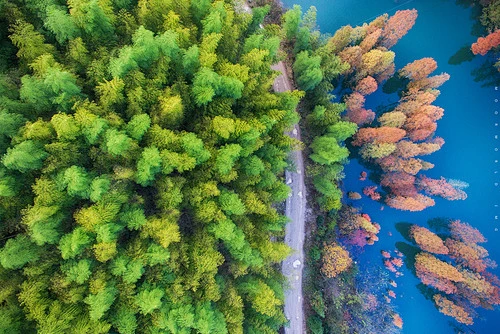 LOFTER - 记录生活，发现同好-花瓣网