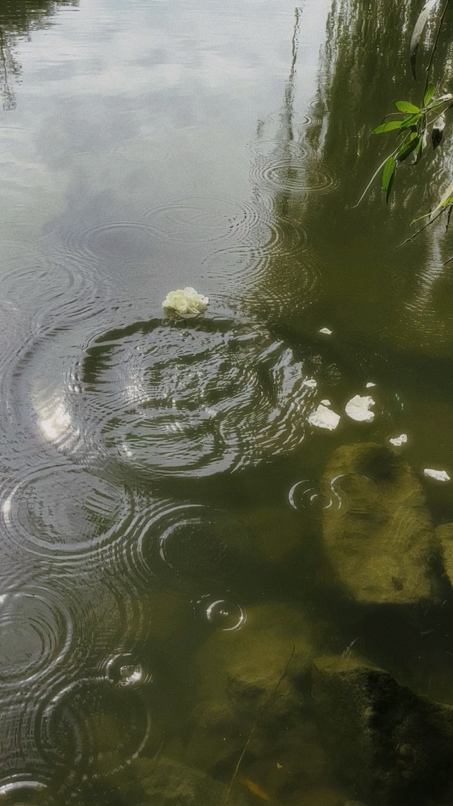 265652af-0188-4259-b376-3ae40d5a927e