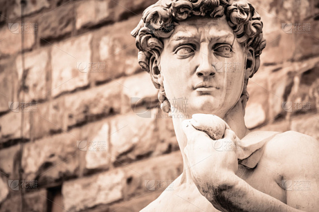 米开朗基罗的大卫肖像