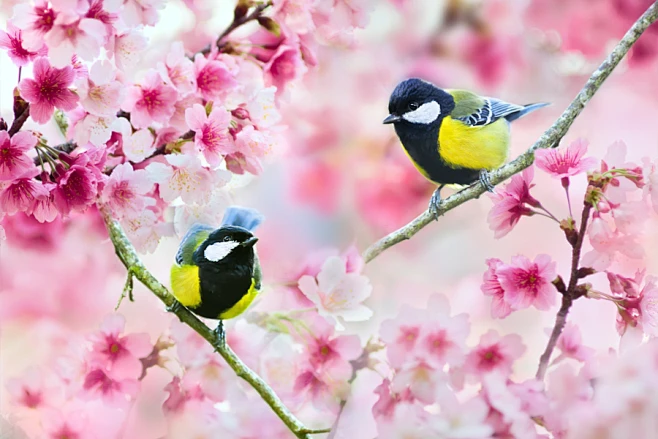 【美图分享】Sue Hsu的作品《Those Were the Days》 #500px#图片_壁纸图片素材-花瓣网