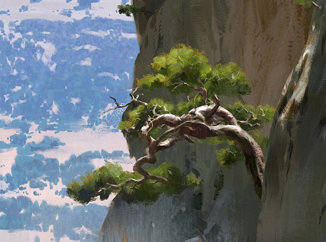 Tree study-花瓣网