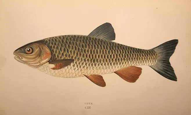 il_794xN.2137912553_bygi-花瓣网