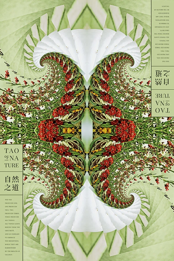 DESIGNTANG-海报设计-花瓣网