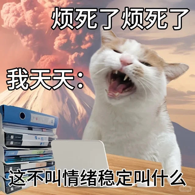 录取 表情包 - 小红书搜索-花瓣网