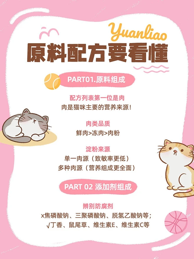 宠物猫粮产品知识科普小红书套装小红书配图-花瓣网