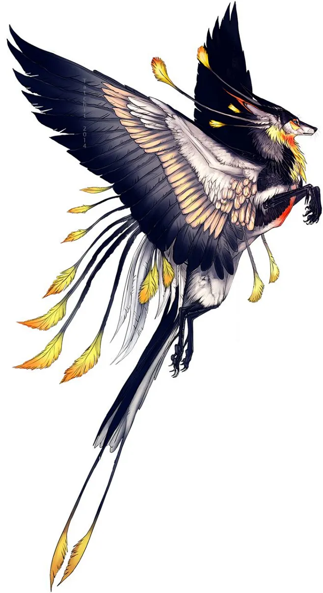 Winged Tropic Feonix by Tatchit.deviantart.com on @deviantART: Winged ...