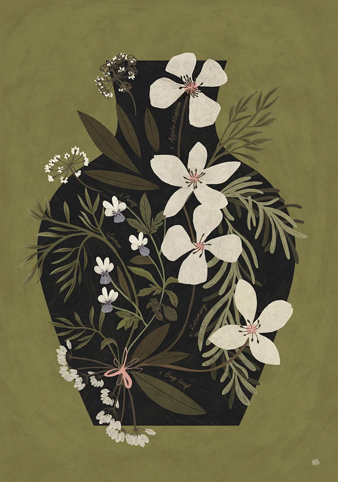 botanical art botanical illustrations Drawing flowers Flowers flowers ...