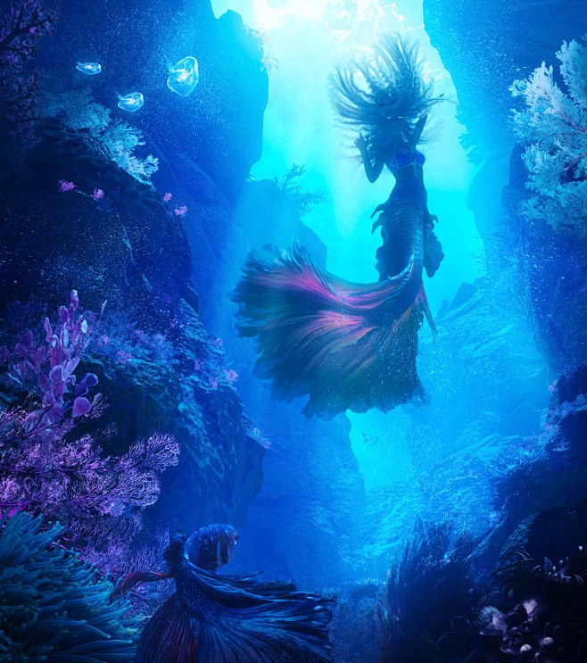 Mermaid Princess-花瓣网