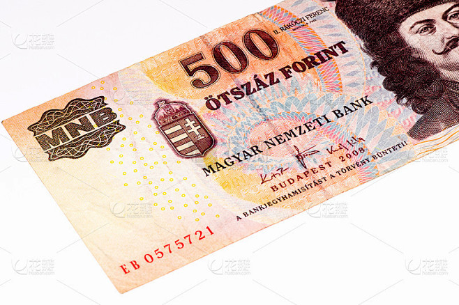 European currancy banknote