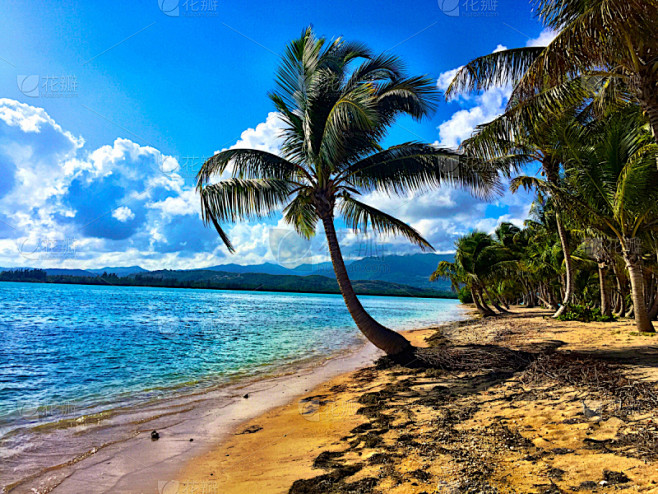 波多黎各,美国,海滩,水平画幅,户外,海洋,摄影,旅行,度假,游泳