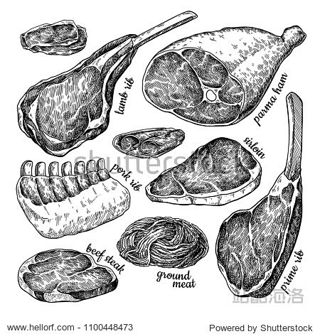 Raw meat vector drawing set. Hand drawn beef steak pork ham lamb rib ...