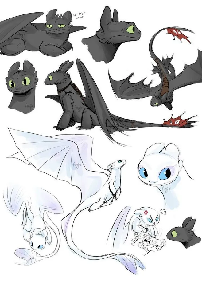 Night Fury and Light Fury by DragonArtist12 Httyd Dragons, Cute Dragons ...