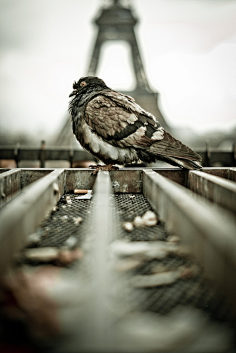 ;'hjkh-花瓣网|陪你做生活的设计师 | 百度图片搜索_画家纪伯伦的搜索结果