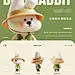 rabbit rabbit illustration IP design IP cartoon rabbit Rabbit cartoon ...