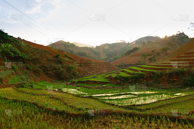美丽的山谷在Sonla，越南