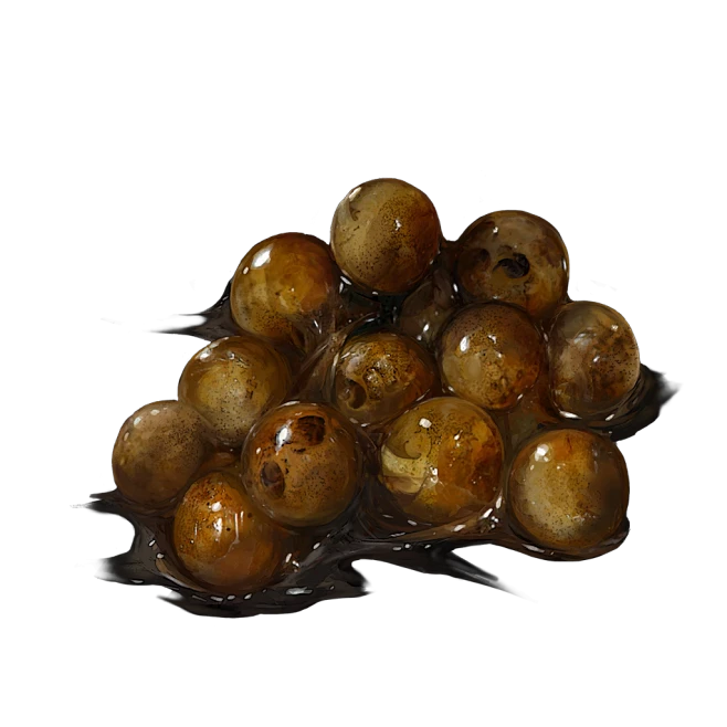 MENU_Knowledge_00519out-花瓣网