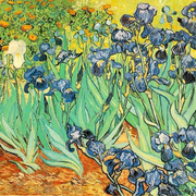 大竹一重 Hitoe Ootake，女教师日记1+3、悦乐之园、诱`惑人妻/电话俱乐部报告