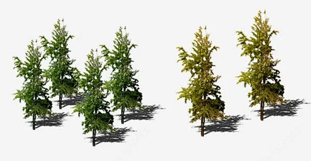 园林景观png免抠素材_新图网 https://ixintu.com 园林景观 树木 行道树 花草图片_绿植PNG 素材图片素材-花瓣网