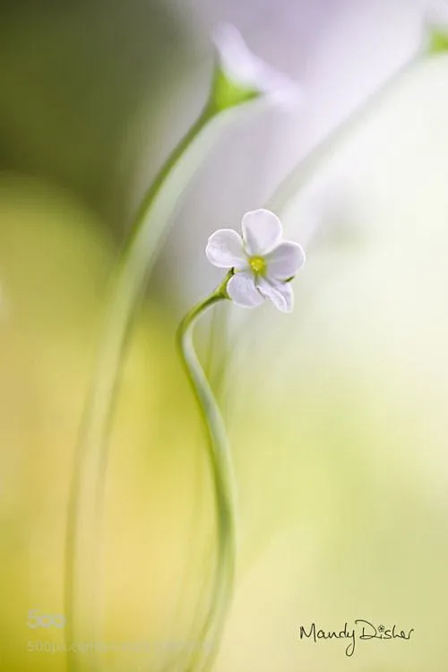 (26) Pinterest-花瓣网