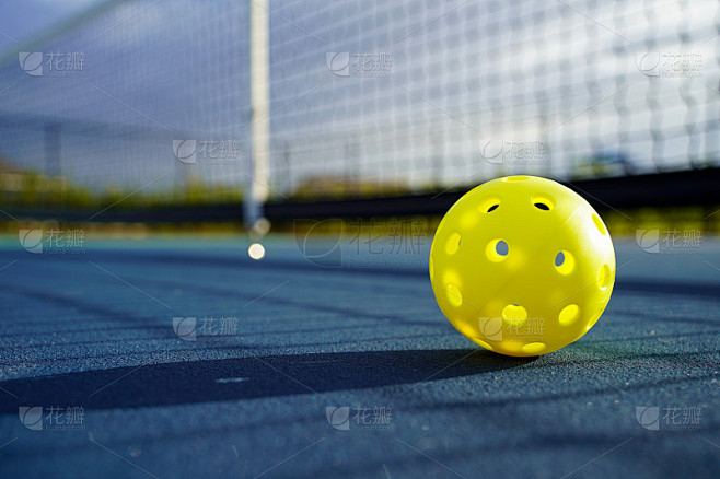 Pickleball场上素材-花瓣网