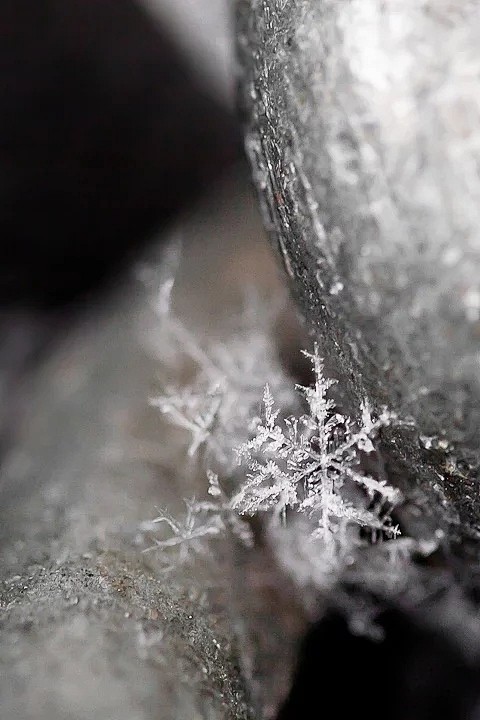 pc_680_webp.webp (49)