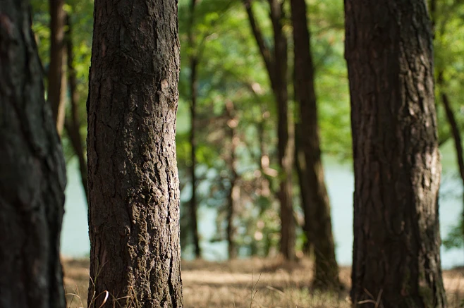 sample-televik-1-花瓣网