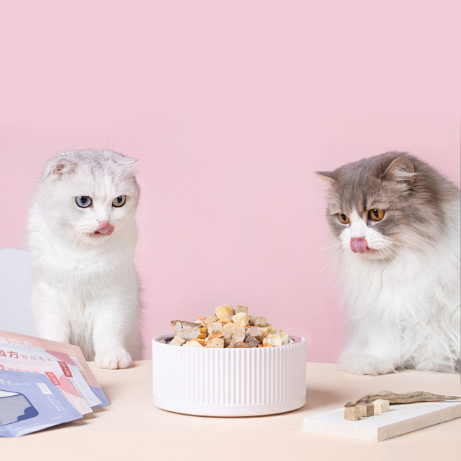 猫四方 %7C 冻干拍摄_97a8ac92