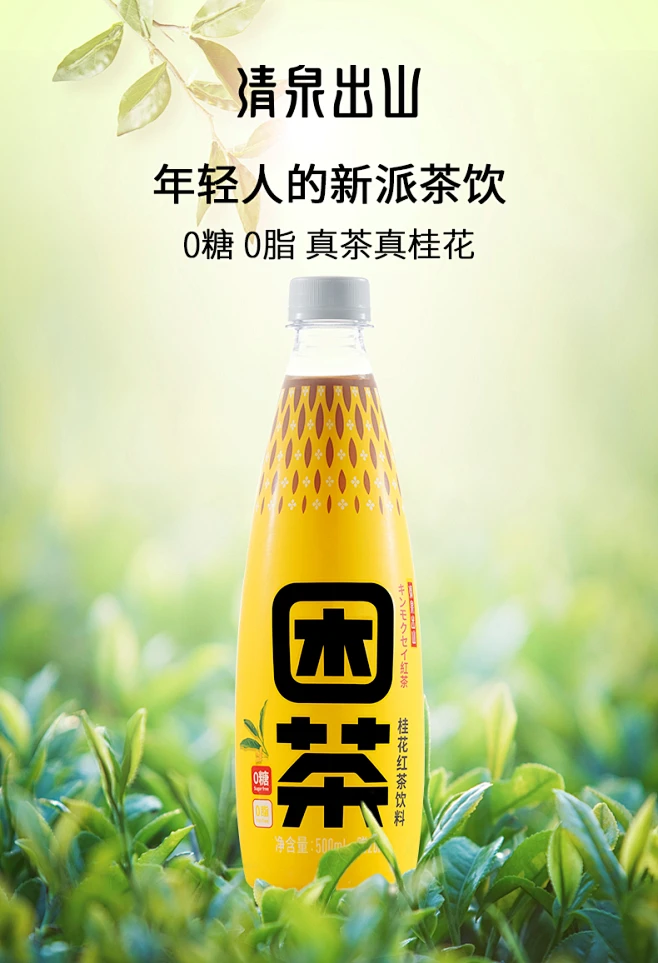 清泉出山困茶红茶无糖饮料0糖0脂真茶真桂花520ml*15瓶-tmall.com天猫-花瓣网