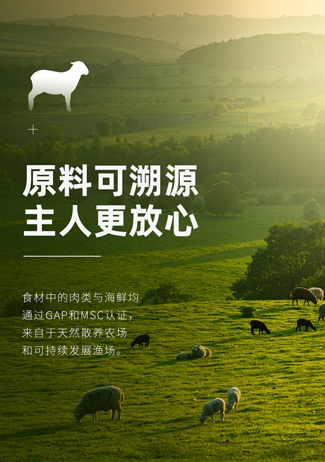 Halo自然光环进口原肉粮鸡肉三文鱼牛肉味成猫主食罐头混合装156g-tmall.hk天猫国际-花瓣网