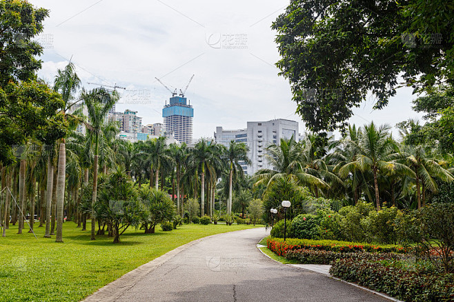 位于大都市中心的公园风景如画的一角