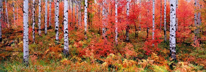 autumn photo gallery : Autumn photography gallery featuring the fall ...