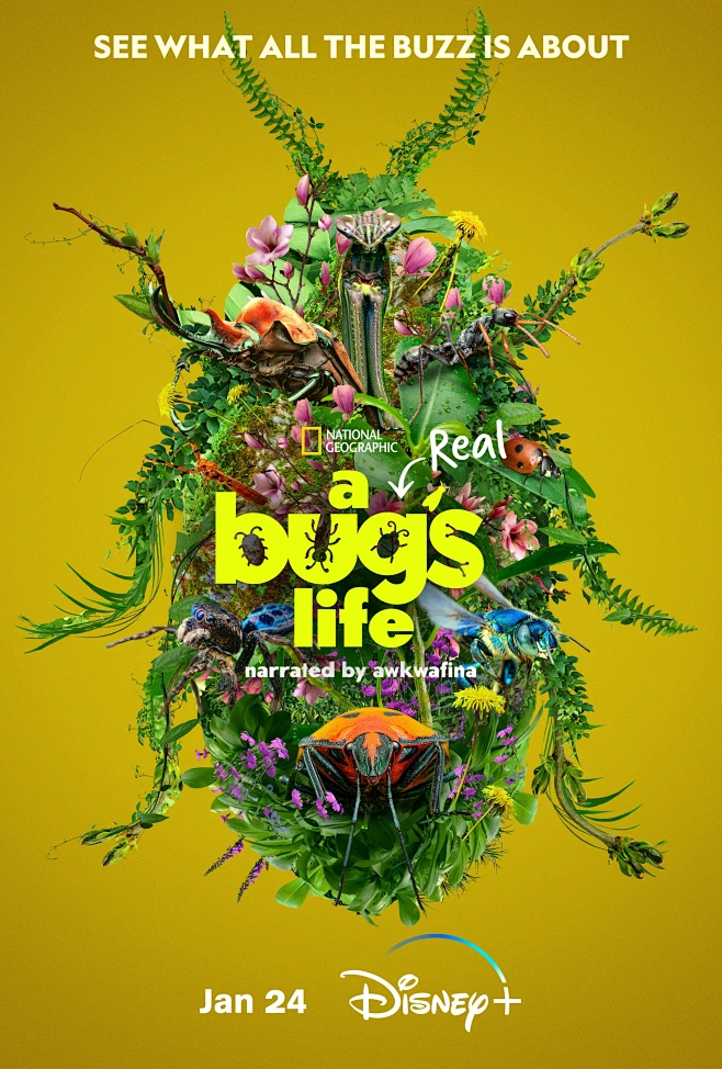 A Real Bug's Life-花瓣网