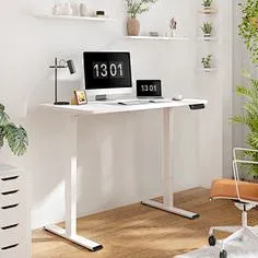 FlexiSpot Ergonomic Memory Porgrammable Controller Mode Height ...