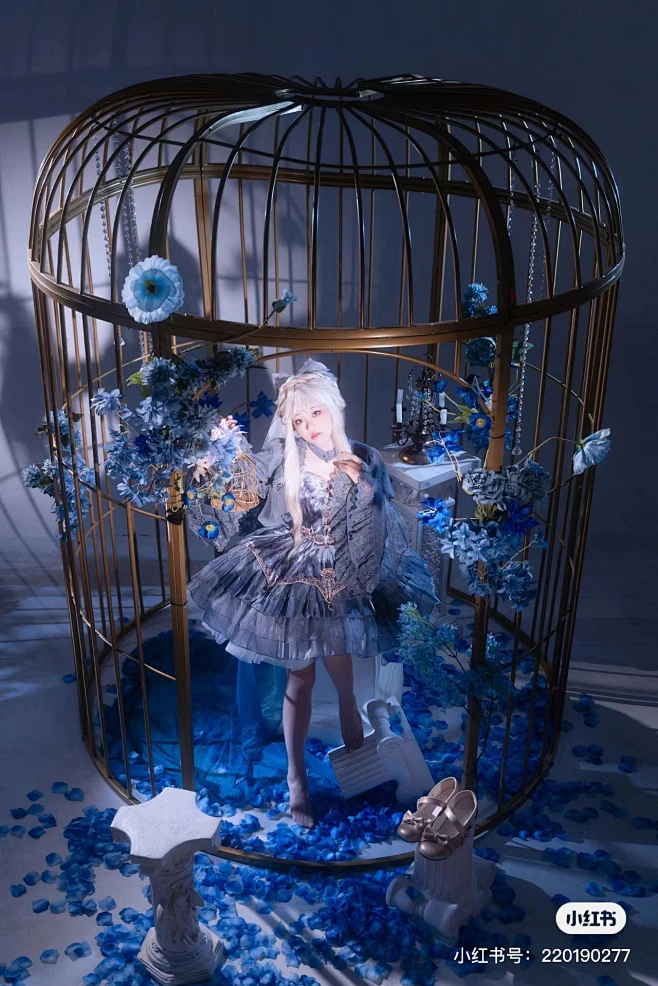 图片_Lolita & Cosplay图片素材-花瓣网