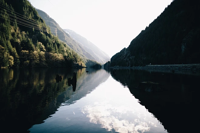 Flow / 500px-花瓣网