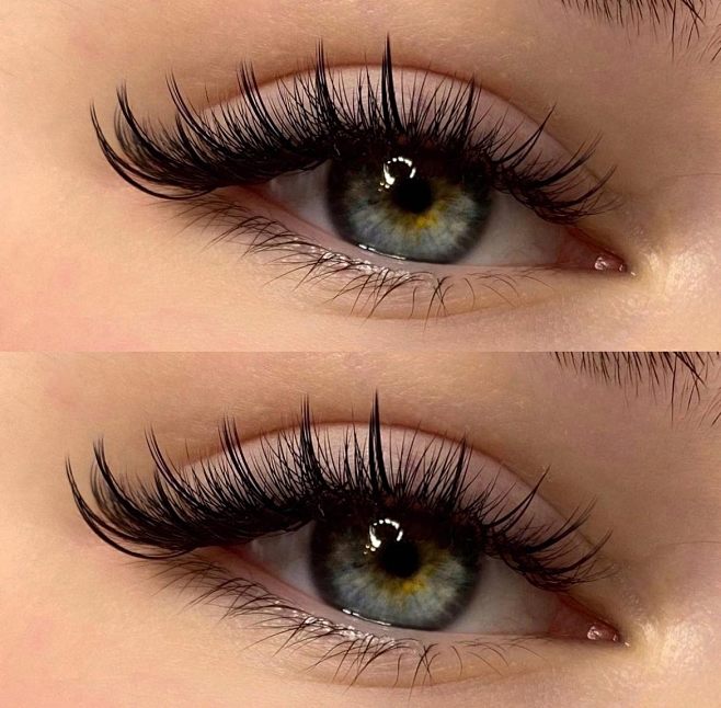 ♻️Top Lashmaker (@i_am_a_lashmak_d69afed9
