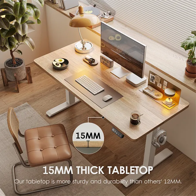 Amazon.com: TIQLAB Height Adjustable Electric Standing Desk, 47 x 24 ...