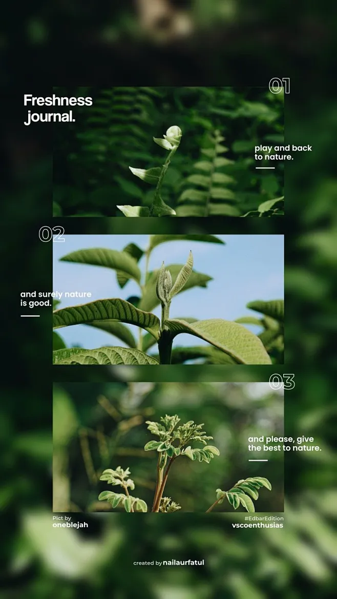 Typography journal-花瓣网