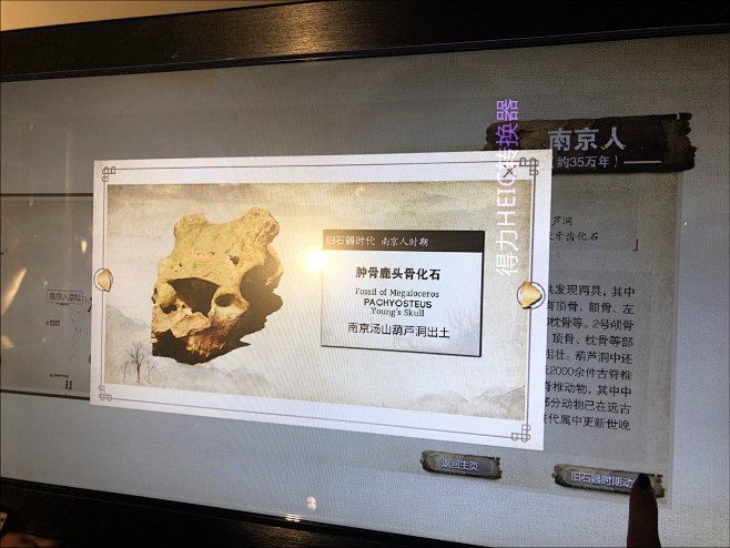 IMG_4183.HEIC_1567137598