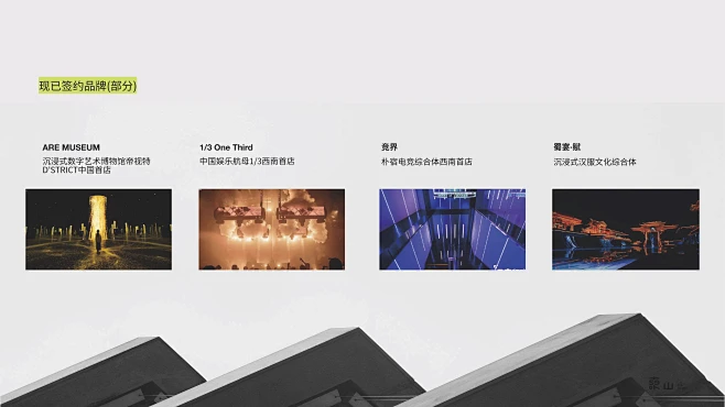NIO brand identity system-花瓣网
