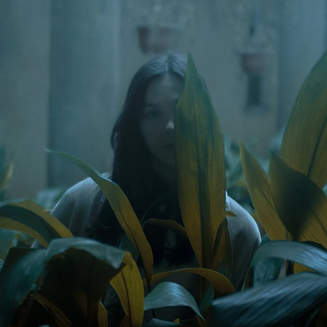 BLICE by Paolo Barretta-花瓣网